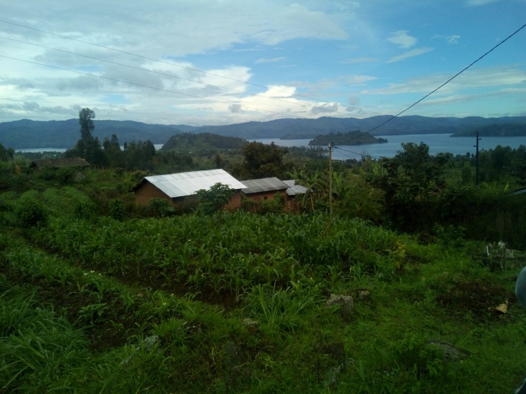 Amajyaruguru: REG yahaye umuriro w’amashanyarazi imiryango igera ku ...